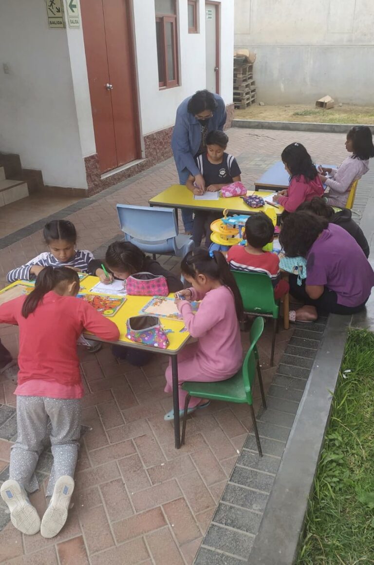 Covid-19 and its impact on poverty in Peru : Project Peru